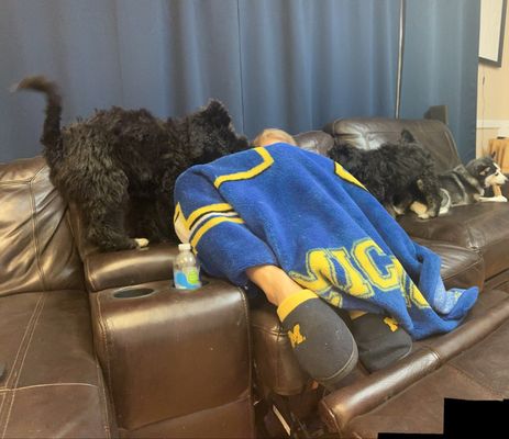 ALL TAILS R WAGGIN - Updated December 2025 - 148 Photos & 82 Reviews ...