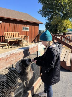 RED RIVER ZOO - Updated September 2025 - 183 Photos & 39 Reviews - 4255 ...