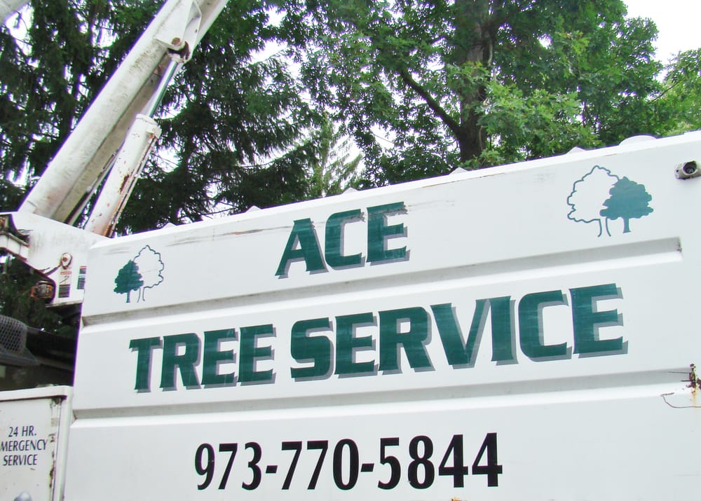 Hopatcong ACE TREE SERVICE - Updated November 2024 - - Tree Services ...