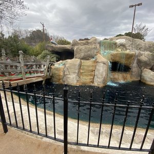 ADVENTURE LANDING RALEIGH - 67 Photos & 65 Reviews - 3311 Capital Blvd ...