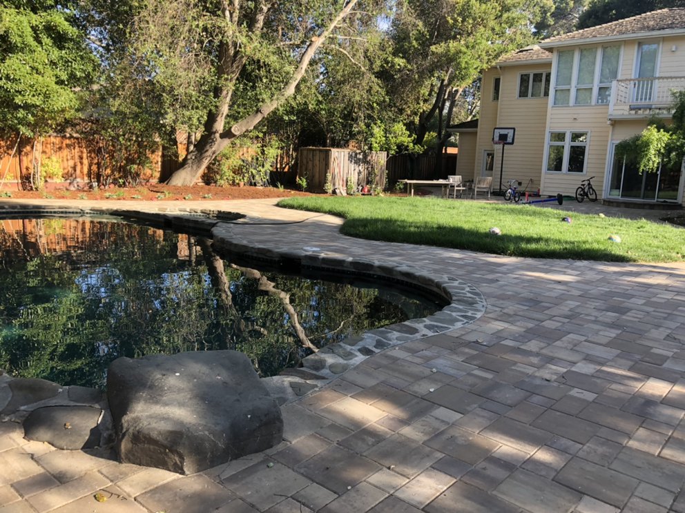 NEW WORLD LANDSCAPING - Updated October 2024 - 110 Photos - East Palo ...