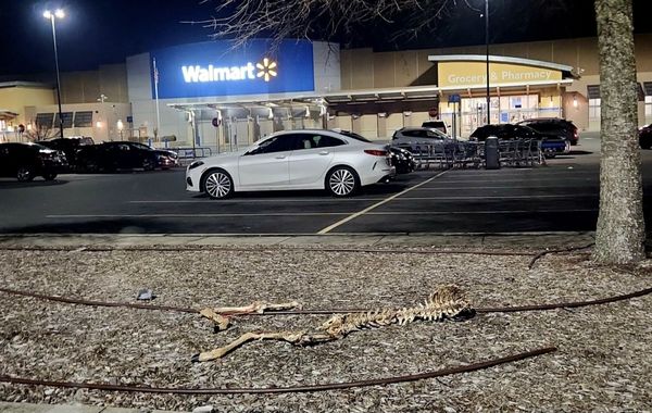 WALMART SUPERCENTER - Updated December 2025 - 15 Photos & 41 Reviews ...