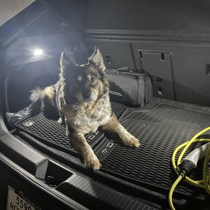 ALPINE NISSAN - Updated May 2025 - 11 Photos - 2400 W 104th Ave, Denver ...