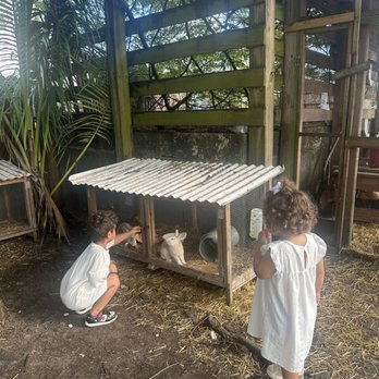 MARANDO FARMS & RANCH - Updated November 2025 - 375 Photos & 127 ...