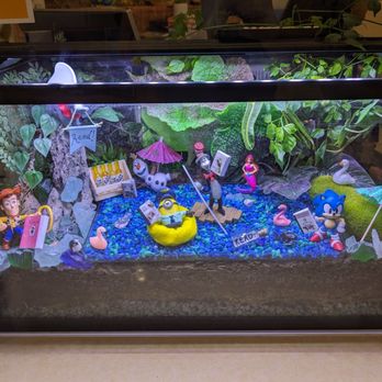 ANAHEIM CENTRAL LIBRARY - Updated December 2025 - 60 Photos & 68 ...