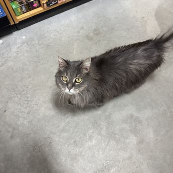 RETHINK THRIFT - Updated November 2025 - 12 Reviews - 2630 W Main ...