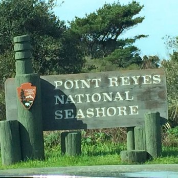 POINT REYES NATIONAL SEASHORE - 1599 Photos & 392 Reviews - 1 Bear ...