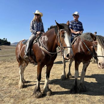 COVELLS CLYDESDALE RANCH - Updated April 2025 - 291 Photos & 162 ...