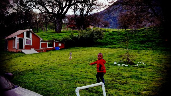 DIABLO VALLEY RANCH - Updated December 2025 - 42 Photos - 11540 Marsh ...