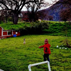 DIABLO VALLEY RANCH - 36 Photos - 11540 Marsh Creek Rd, Clayton ...