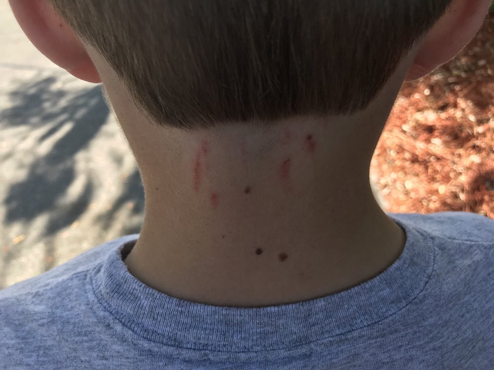 GREAT CLIPS - Updated December 2025 - 20 Reviews - 4679 US Hwy 80 E ...