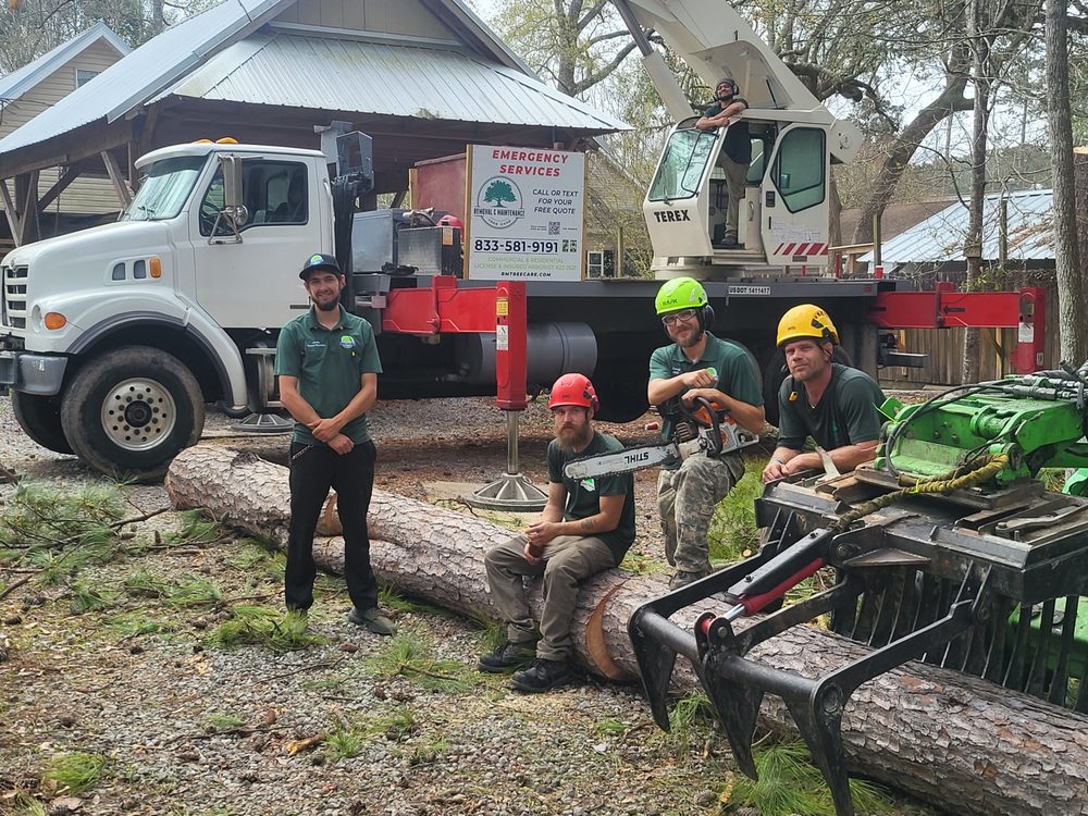 REMOVAL & MAINTENANCE TREE CARE - Updated April 2025 - 915 Old Landing ...