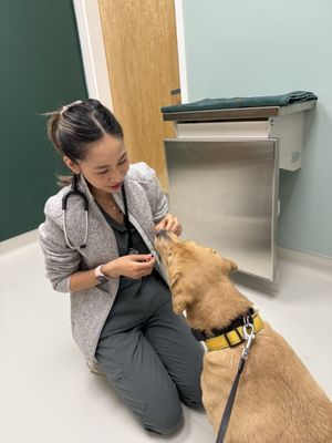 Tustin Village Animal Hospital - Updated June 2026 - 74 Photos & 113 ...