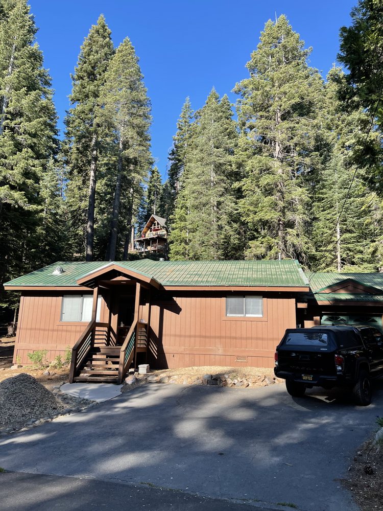 ELEVATED TREE EXPERTS - Updated June 2025 - 23 Photos - 10683 Chickwick ...