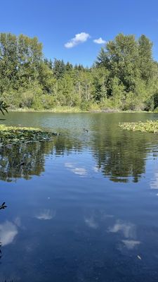 LAKE BOREN PARK - Updated May 2025 - 72 Photos & 22 Reviews - 13058 SE ...