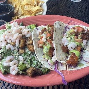 CACTUS YA YA - Updated October 2024 - 134 Photos & 305 Reviews - 15704 ...