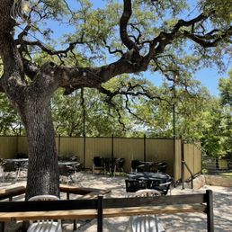 PATRIZI’S - Updated October 2025 - 351 Photos & 219 Reviews - 1705 ...