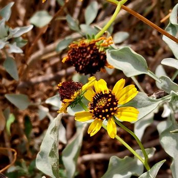 CRAIG RANCH REGIONAL PARK - Updated December 2025 - 935 Photos & 227 ...