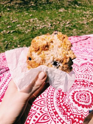 RENE’S BAKERY - 320 Photos & 239 Reviews - 6524 N Cornell Ave ...