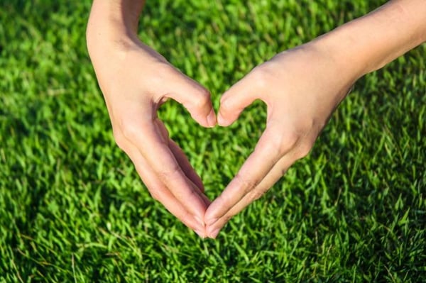 TOP TURF LAWN CARE AND PEST MANAGEMENT - Updated October 2025 - 45 ...