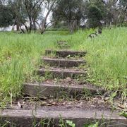 MURPHY RANCH PARK - 186 Photos & 45 Reviews - Hiking - 16200 Las ...