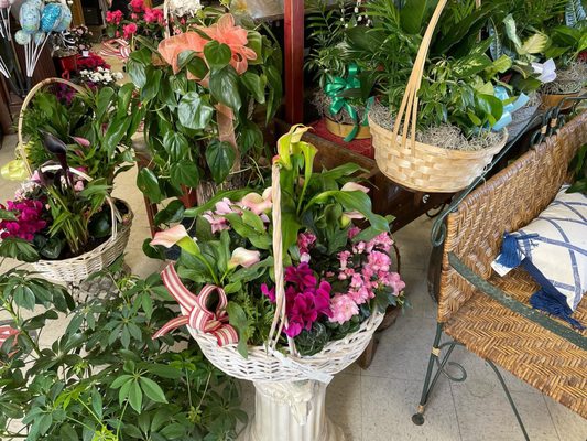 HILLSIDE FLORIST - Updated August 2025 - 99 Photos & 45 Reviews - 888 ...