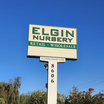 ELGIN NURSERY & TREE FARM - Updated January 2026 - 41 Photos & 70 ...