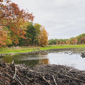 CRESCENT LAKE - Updated June 2024 - 37 Photos - 403-699 Shuttle Meadow ...