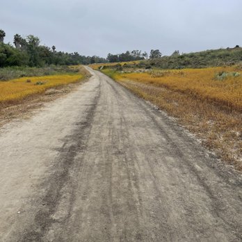 GUAJOME REGIONAL PARK - Updated July 2024 - 369 Photos & 135 Reviews ...