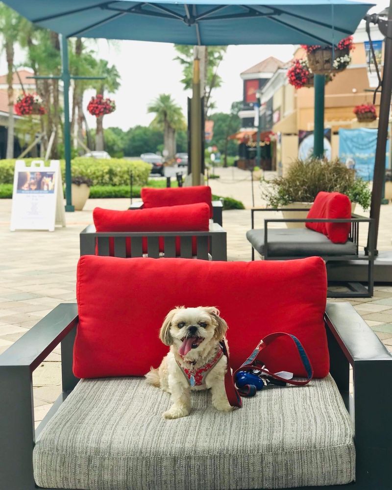 The Shops at Wiregrass, Wesley Chapel | Roadtrippers