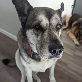 HIGH DESERT ANIMAL CARE HOSPITAL - Updated October 2025 - 47 Photos ...