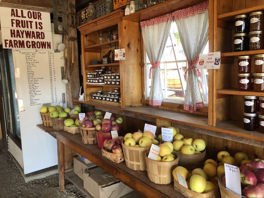 HAYWARD FARM - Updated January 2026 - 238 Hayward Rd, New Hartford ...