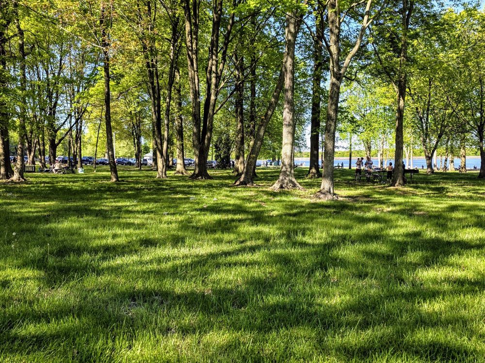 LAKE MILTON STATE PARK - Updated June 2026 - 35 Photos & 11 Reviews ...