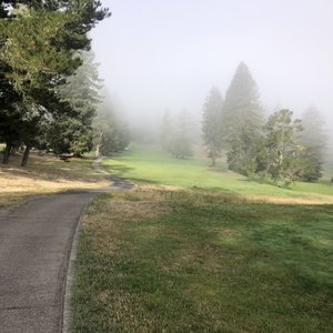 TILDEN PARK GOLF COURSE - 88 Photos & 230 Reviews - 10 Golf Course Dr ...
