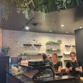 CURIOUSER COFFEE & CONSERVATORY - Updated August 2025 - 112 Photos & 45 ...