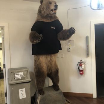 OLYMPIC COLOR RODS - Updated December 2025 - 17 Photos - 1050 W ...