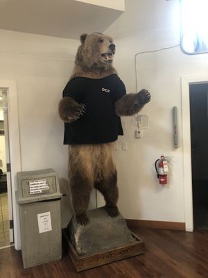 OLYMPIC COLOR RODS - Updated December 2025 - 17 Photos - 1050 W ...