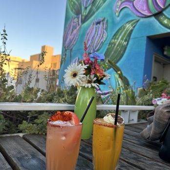 DARLING AVIARY - Updated July 2024 - 716 Photos & 546 Reviews - 712 K ...