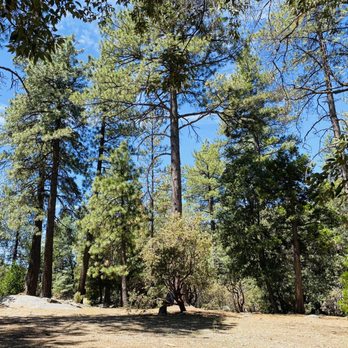 IDYLLWILD NATURE CENTER - Updated October 2025 - 288 Photos & 69 ...