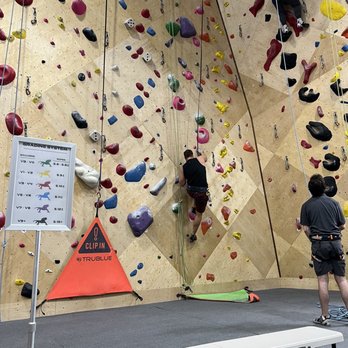 GECKO CLIMBING GYM - Updated October 2025 - 72 Photos & 38 Reviews ...