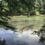 JONES BRIDGE PARK - 142 Photos & 30 Reviews - Parks - 4901 E Jones ...