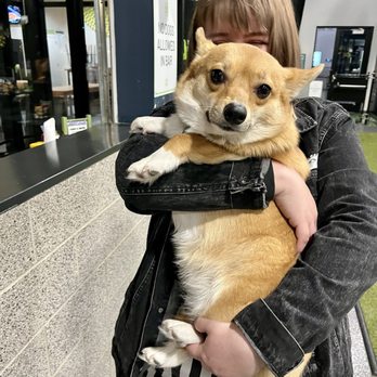 PAWS & PINTS - Updated January 2025 - 155 Photos & 70 Reviews - 6218 ...