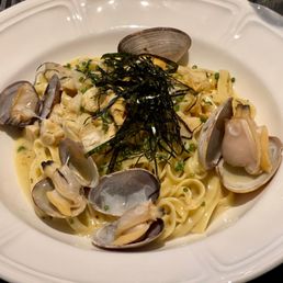 NAVY BLUE - Updated January 2026 - 1026 Photos & 289 Reviews - 2445 ...