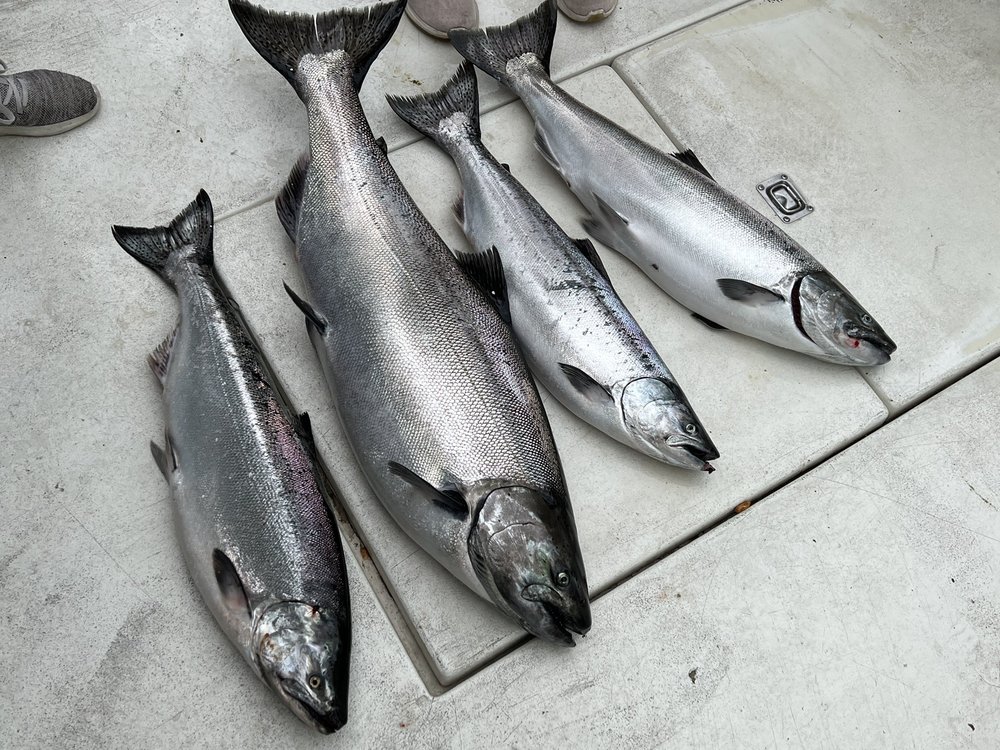 HIGH LIFE CHARTERS - Updated August 2025 - Request a Quote - 3712 Adams ...