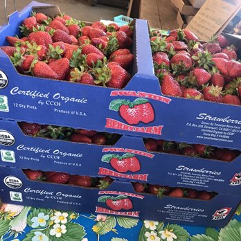 SWANTON BERRY FARM - Updated October 2024 - 1107 Photos & 526 Reviews ...