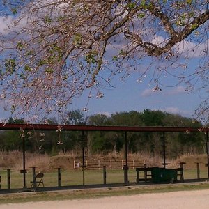 RED’S INDOOR RANGE - Updated July 2025 - 43 Photos & 303 Reviews - 1908 ...