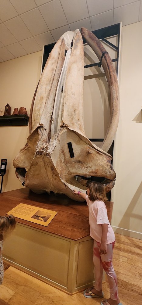 MAYBORN MUSEUM - Updated June 2024 - 104 Photos & 67 Reviews - 1300 S ...