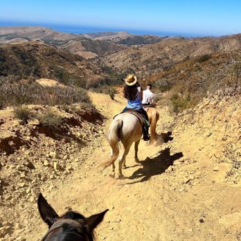 CIRCLE BAR B STABLES - Updated June 2024 - 641 Photos & 443 Reviews ...