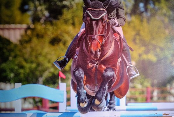 PHOENIX EQUESTRIAN CENTER - Updated January 2025 - 41 Photos - 16401 ...