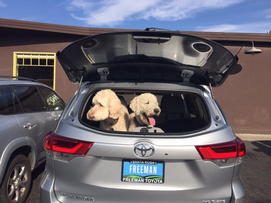 FREEMAN TOYOTA - 70 Photos & 473 Reviews - Car Dealers - 2875 Corby Ave ...